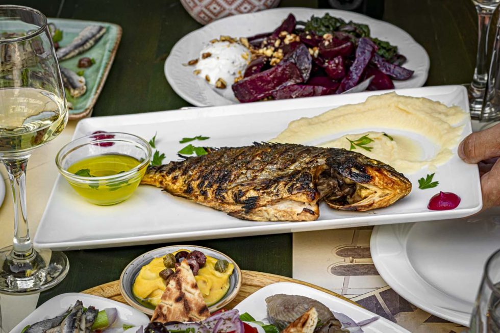 THE ROUGA - Greek and Mediterranean Eatery