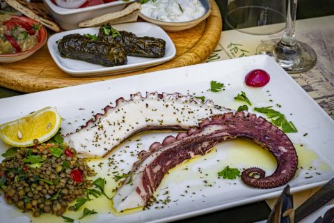 THE ROUGA - Greek and Mediterranean Eatery